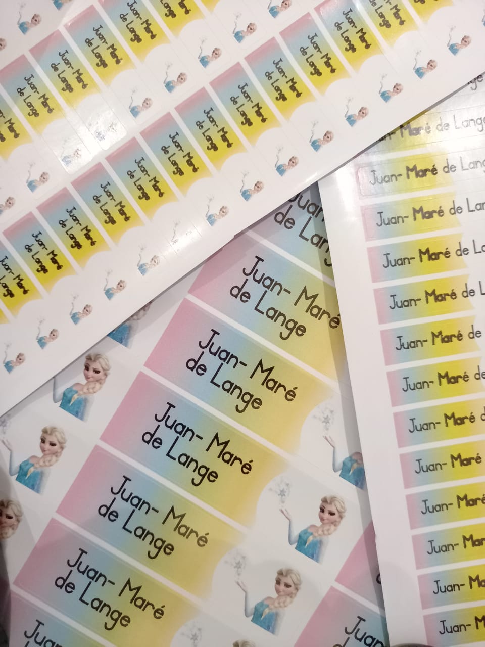 Frozen Elsa School Stickers - Venchal Signs